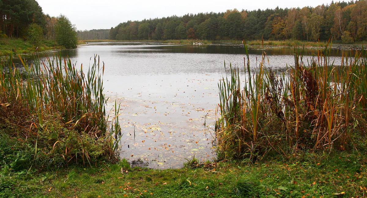 Rezerwat „Osetnica” - Szlaki turystyczne Mazowsza