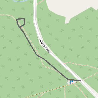 Najstarsza Sosna - Szlaki turystyczne Mazowsza