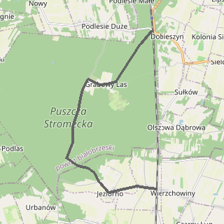 Szlak Puszczańskich Dębów - Szlaki turystyczne Mazowsza